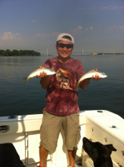 Classifications | Interstate Environmental Commission